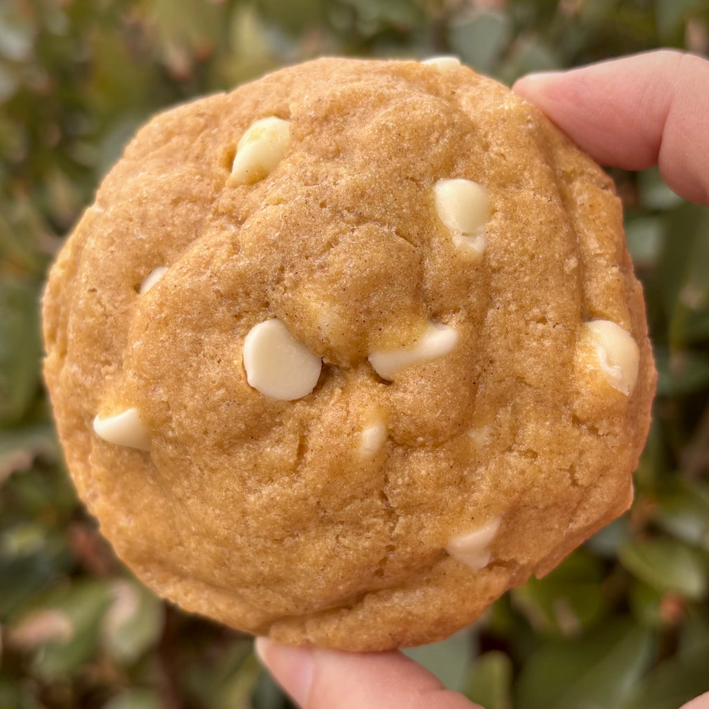 Chunk’s PROTEIN Cookies – Chunk Long Island