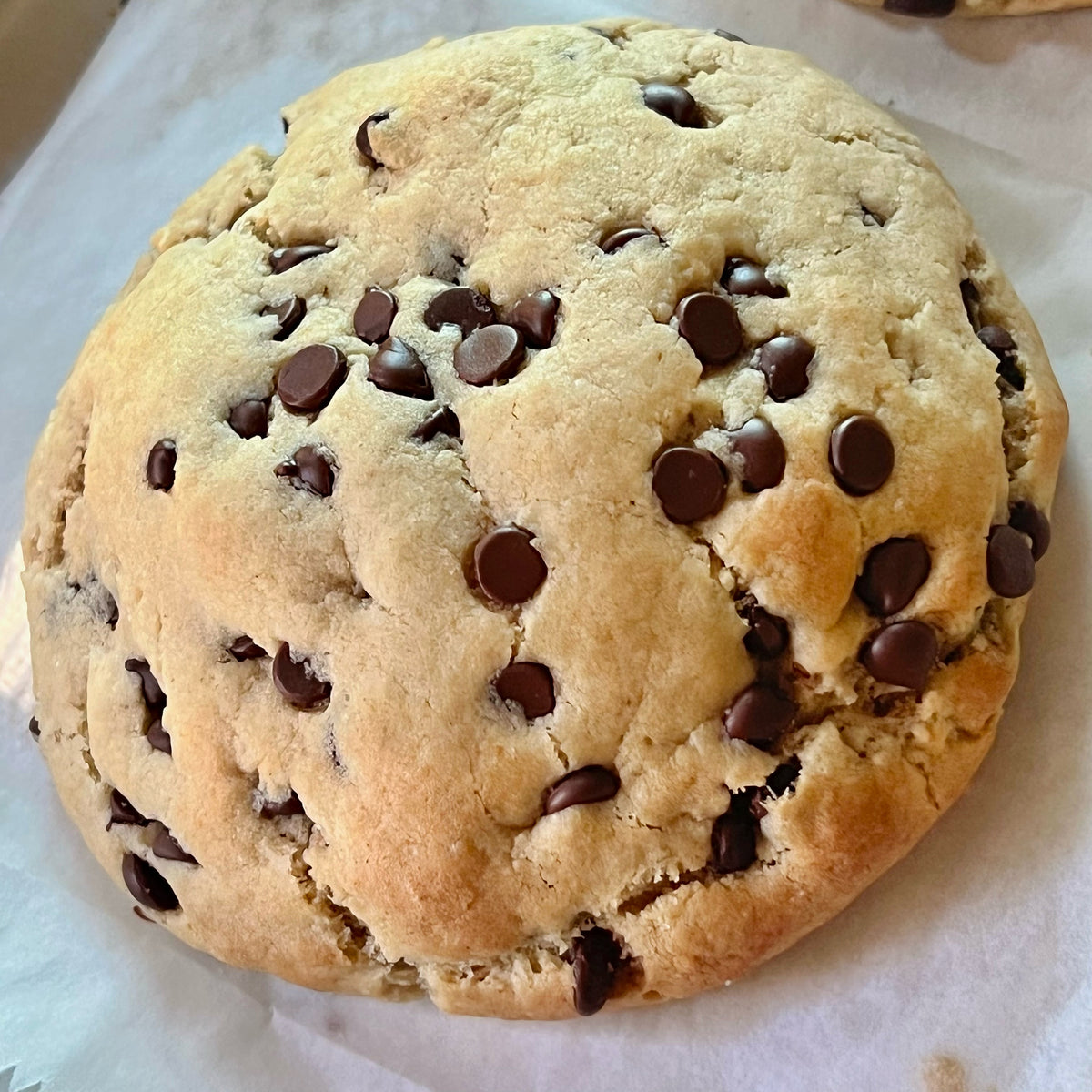 VEGAN Chunk Cookies – Chunk Long Island