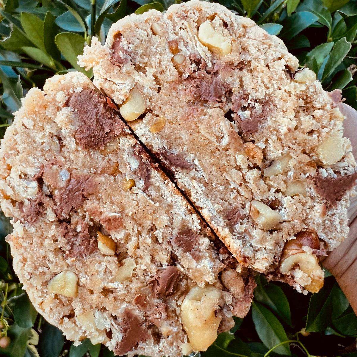Oatmeal Walnut Chip – Chunk Long Island